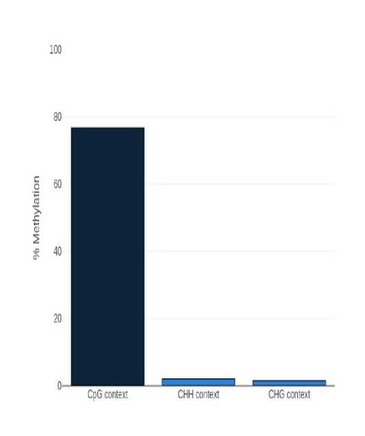 GitHub - Joseph-Luper-Tsenum/DNA-Methylation-Analysis-Transcriptomics-Epigenetics-Project: Whole ...