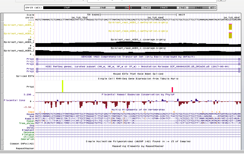 GitHub - Joseph-Luper-Tsenum/DNA-Methylation-Analysis-Transcriptomics-Epigenetics-Project: Whole ...
