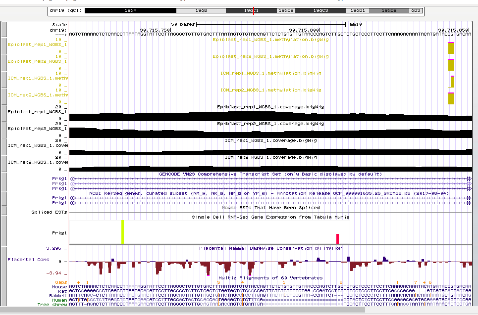 GitHub - Joseph-Luper-Tsenum/DNA-Methylation-Analysis-Transcriptomics-Epigenetics-Project: Whole ...