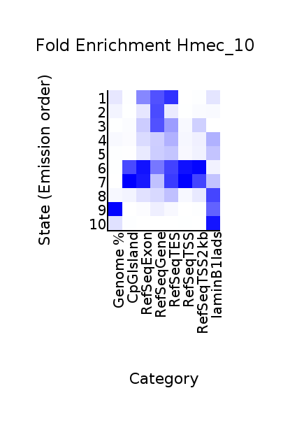 GitHub - Joseph-Luper-Tsenum/ChromHMM-Analysis: Determination of combination of histone marks ...