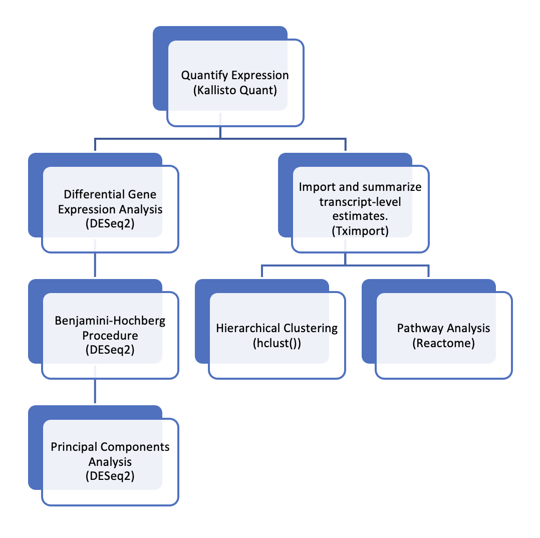 GitHub - Joseph-Luper-Tsenum/Investigating-the-role-of-CBX2-in-breast-cancer-through-analysis-of ...