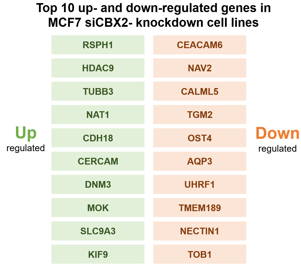 GitHub - Joseph-Luper-Tsenum/Investigating-the-role-of-CBX2-in-breast-cancer-through-analysis-of ...