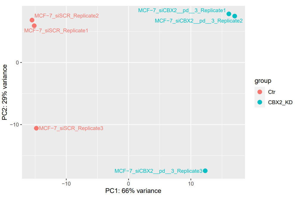 GitHub - Joseph-Luper-Tsenum/Investigating-the-role-of-CBX2-in-breast-cancer-through-analysis-of ...