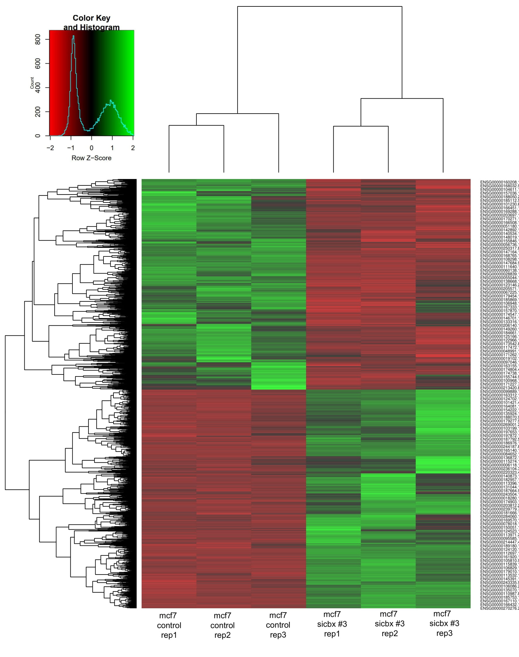 GitHub - Joseph-Luper-Tsenum/Investigating-the-role-of-CBX2-in-breast-cancer-through-analysis-of ...