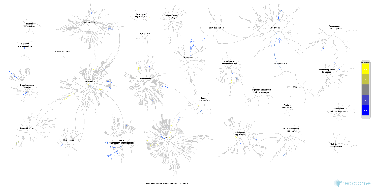 GitHub - Joseph-Luper-Tsenum/Investigating-the-role-of-CBX2-in-breast-cancer-through-analysis-of ...