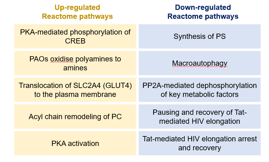 GitHub - Joseph-Luper-Tsenum/Investigating-the-role-of-CBX2-in-breast-cancer-through-analysis-of ...