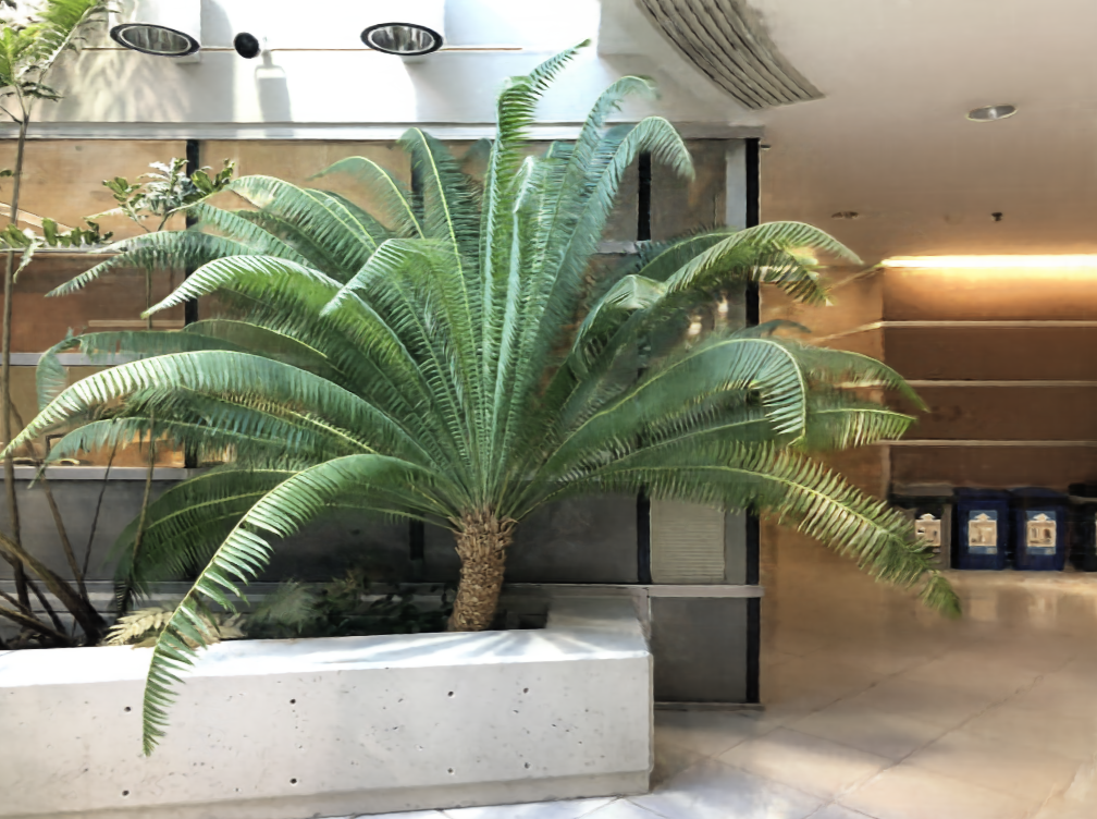 about finetune and train · Issue #7 · redrock303/NeRFLiX_CVPR2023 · GitHub