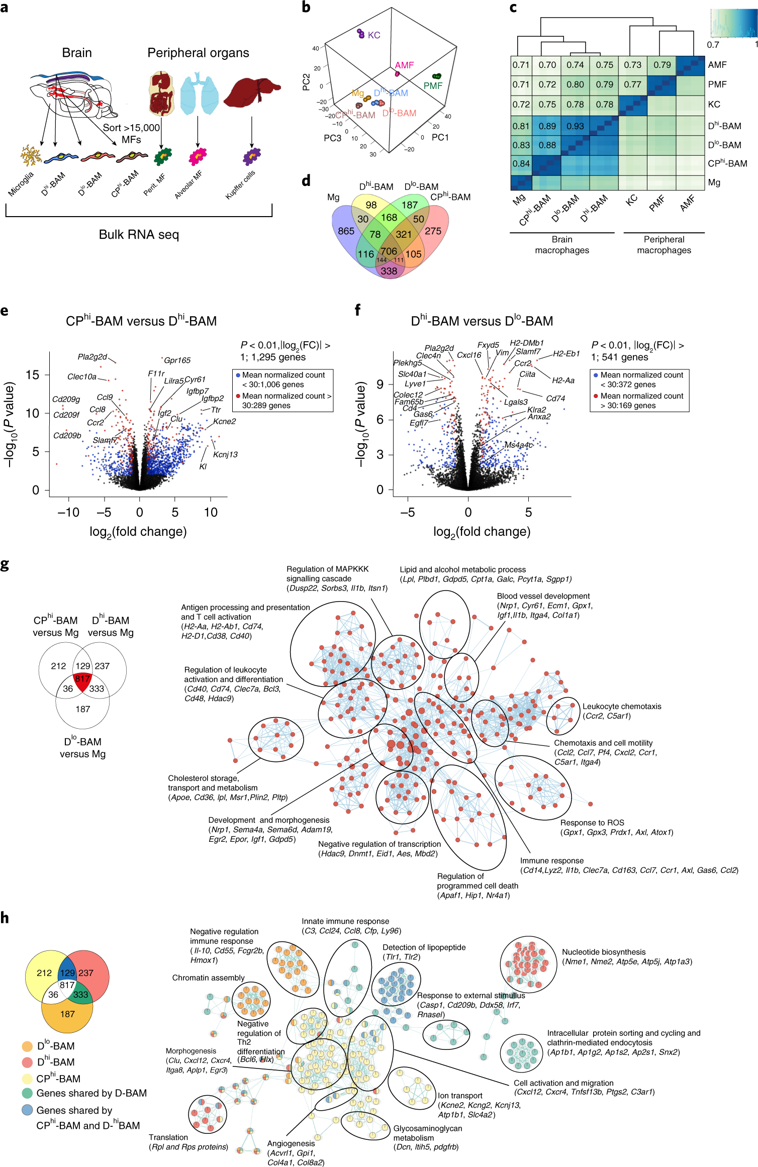 Gene-ontology-network/使用必读.md at main · aotine/Gene-ontology-network ...