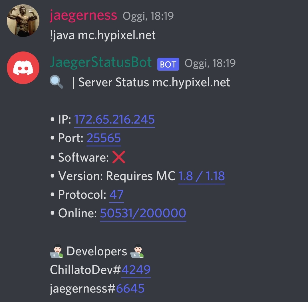 GitHub - JaegerDevelopment/JaegerStatus-Discord-BOT: with the command ...