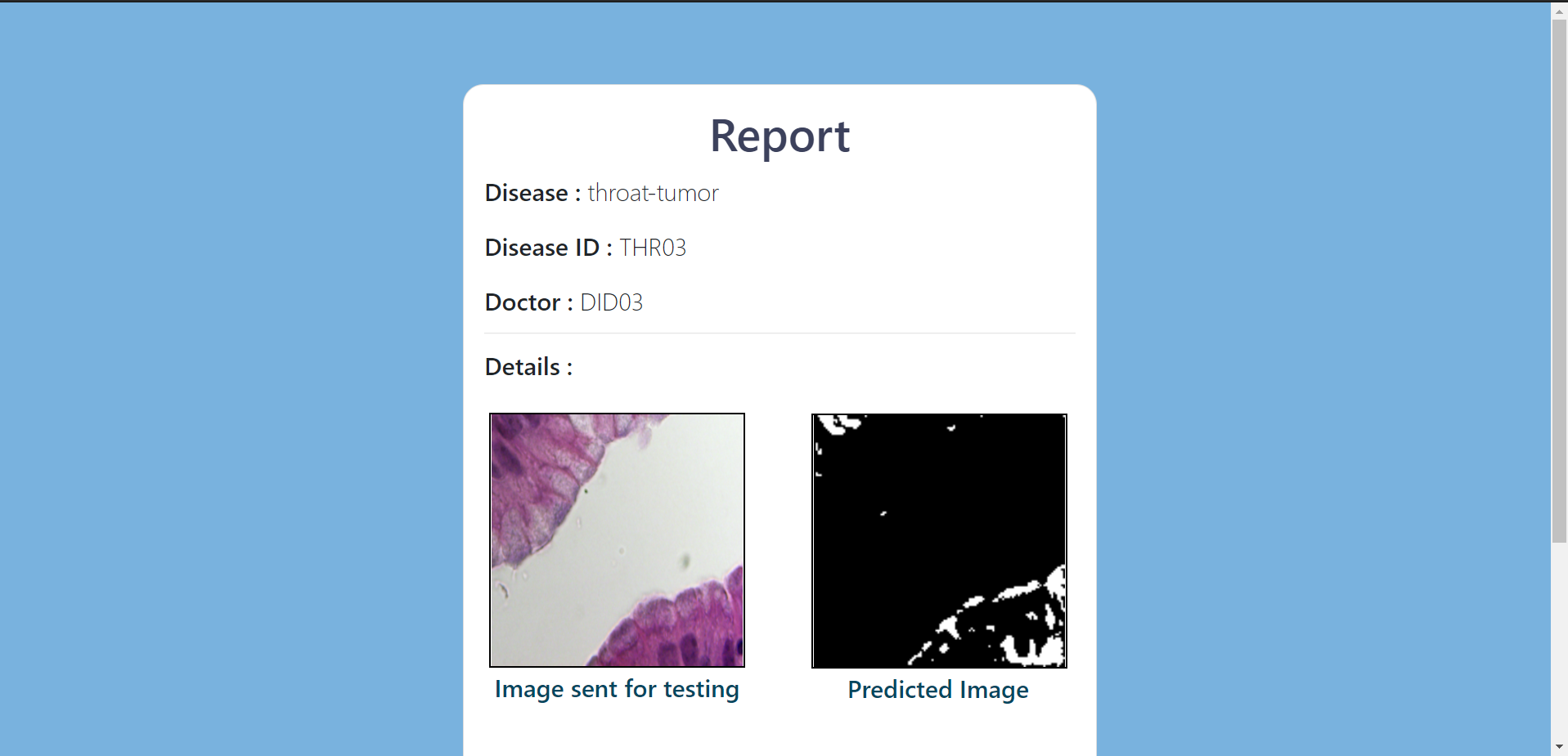 Github Nidhikamewar15 Disease Predictor