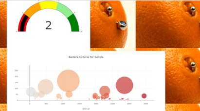 GitHub - hhayati/belly_button_bacteria