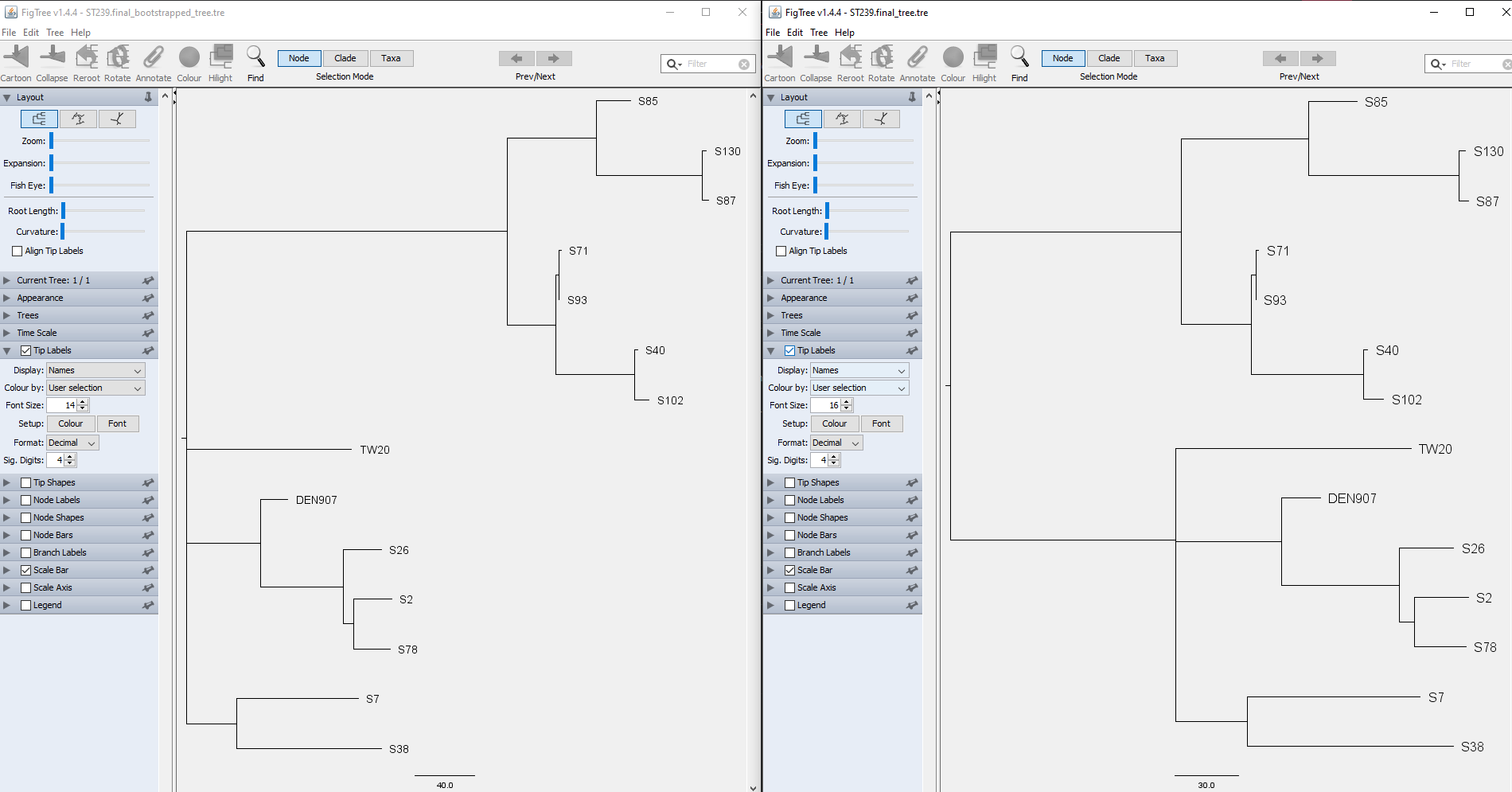 What are the differences of the output trees made by gubbins · Issue ...