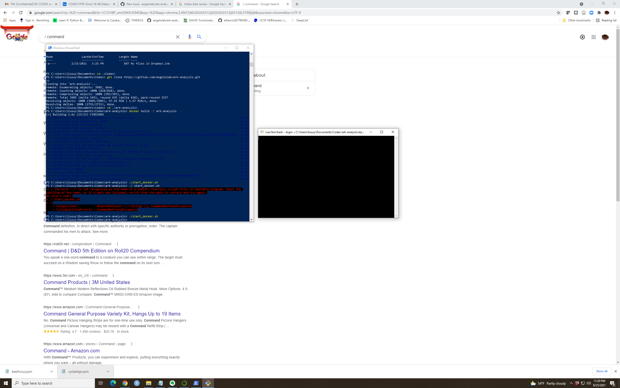 cannot run start_docker · Issue #454 · angelolab/ark-analysis · GitHub