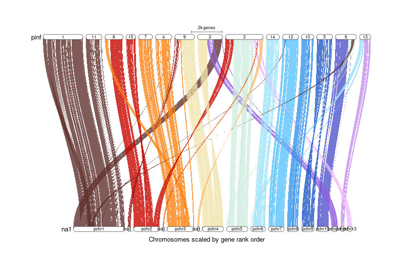 Custom ordering of chromosomes · Issue #59 · jtlovell/GENESPACE · GitHub