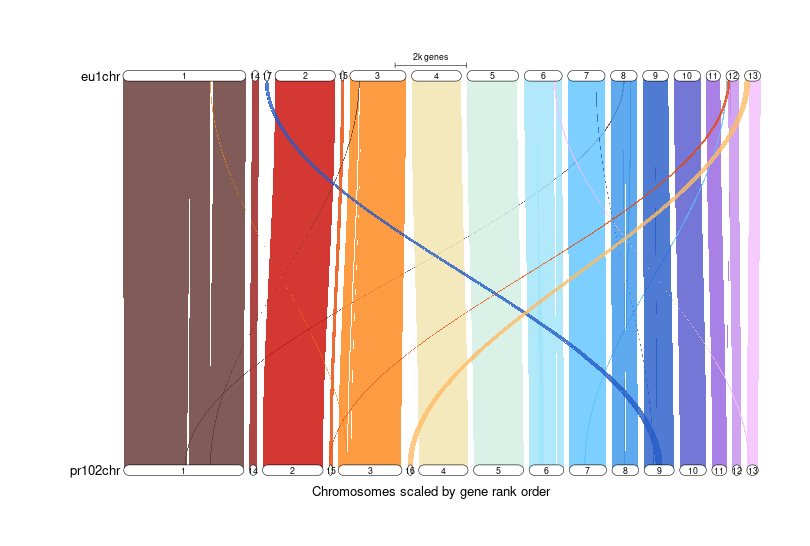 Custom ordering of chromosomes · Issue #59 · jtlovell/GENESPACE · GitHub