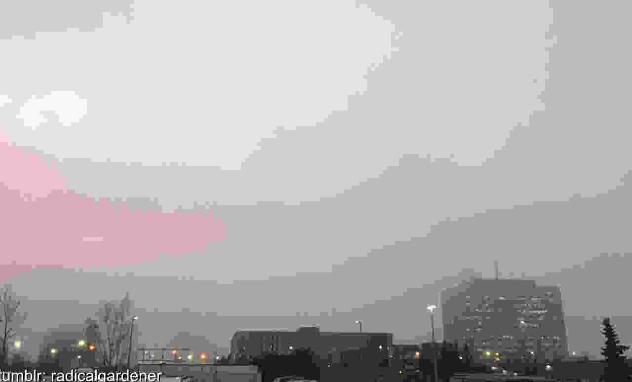 JPEG Quality doesn't work · Issue #364 · jimp-dev/jimp · GitHub