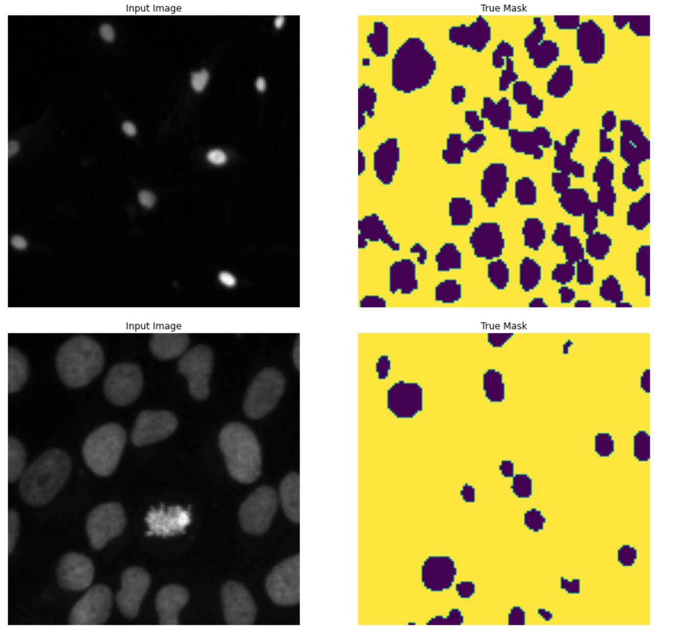GitHub - shafiqayusaidi/cell-image-segmentation