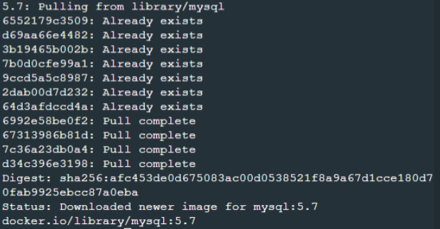 GitHub - eden-javascript/database