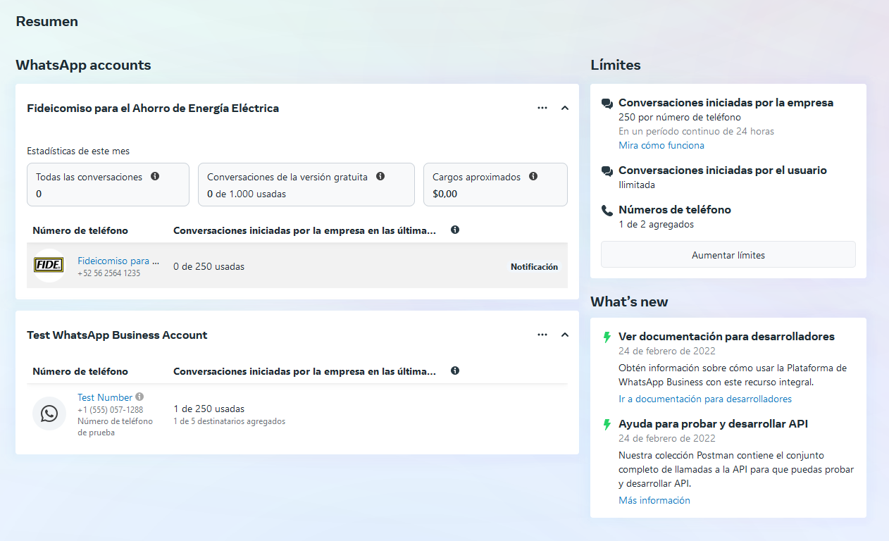 Como utilizar mi aplicación para una empresa · Issue #49 · Vinix-Code-Dev/curso-api-whatsapp ...
