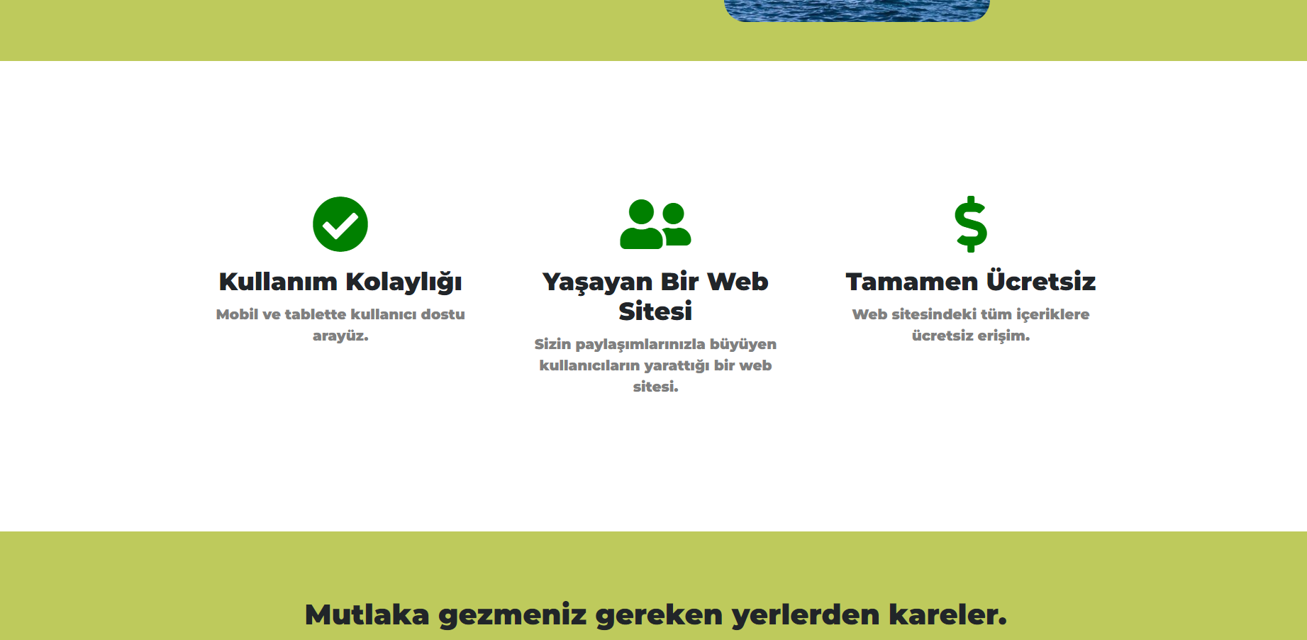 GitHub - berke-grl/AlValizi
