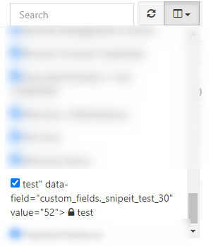 Encrypted custom field || All Asset display page in the select column with the list of field ...