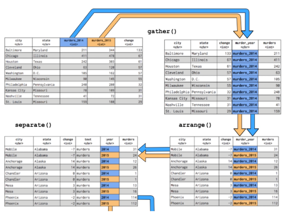 How to explore and manipulate a dataset with the tidyverse · Issue #74 · forestgeo/learn · GitHub