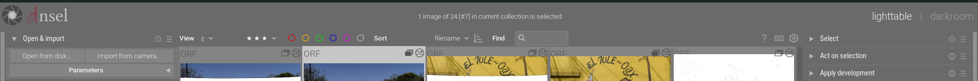UI on AppImage looks much different than previous version · Issue #114 · aurelienpierreeng/ansel ...