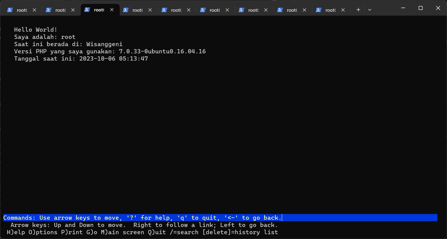 GitHub - Stoam/Jarkom-Modul-2-E16-2023: Laporan Praktikum Modul 2 Jarkom 2023 Kelompok E16