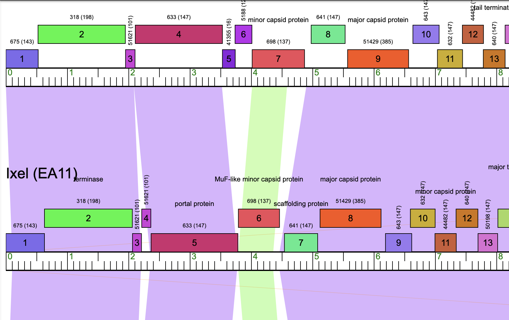 Select Phages / View Map navbar should be sticky · Issue #43 · scresawn ...