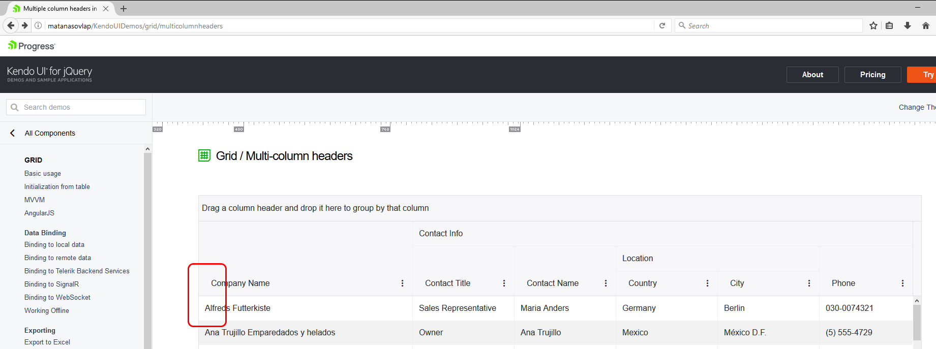 Grid Sass Themes Issues In Ff · Issue 617 · Telerikkendo Theme