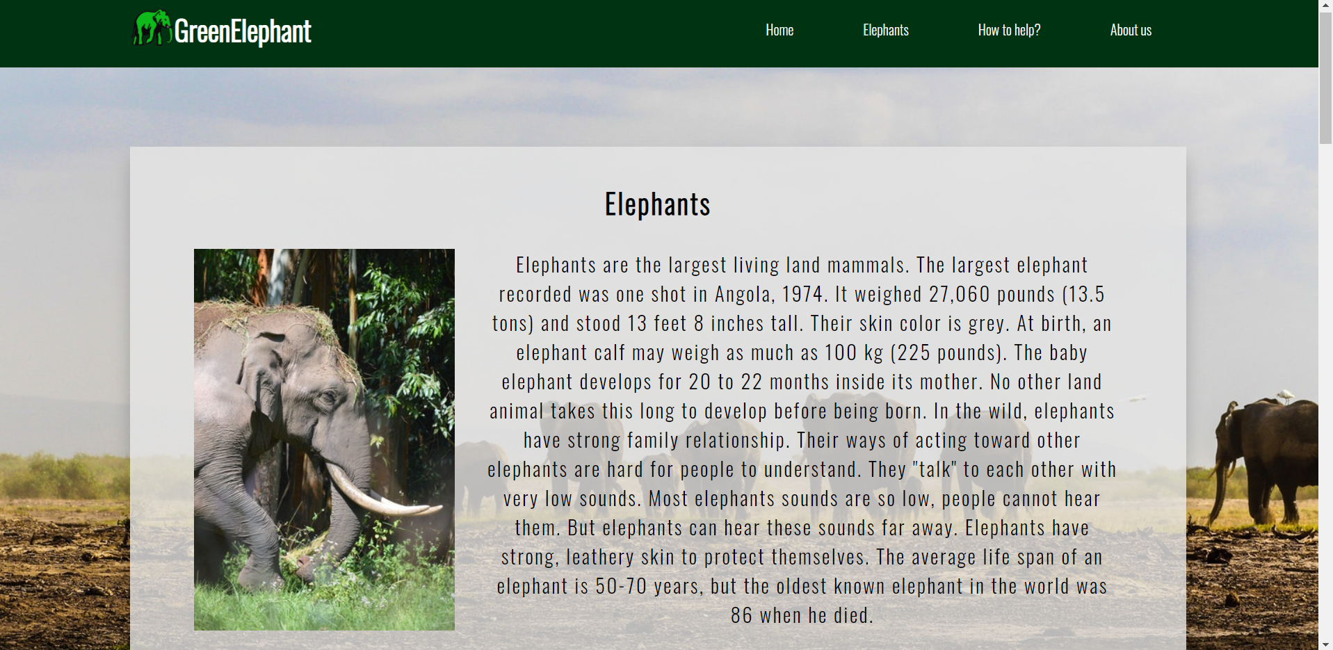 GitHub - nikolaychv/Green-Elephant: Animal protection website