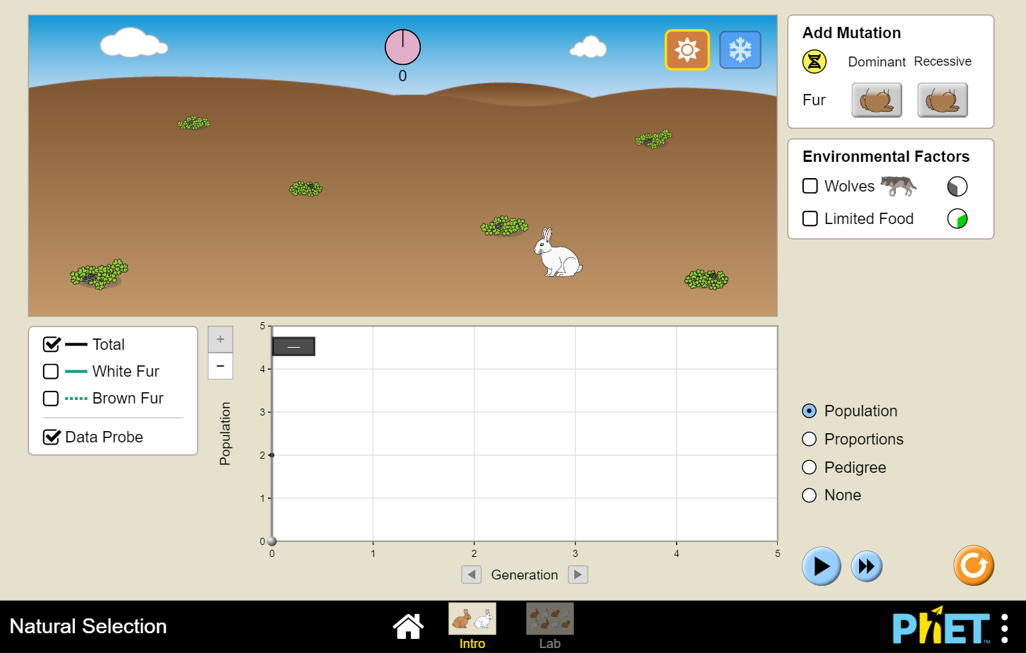 Sim inconsistently claims there is a second bunny if a mate is added ...