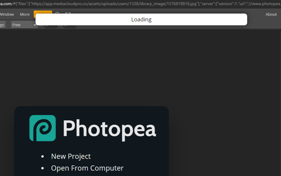 "LOADING" bar is persistent. · Issue #3445 · photopea/photopea · GitHub