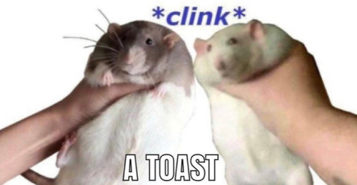 GandalfTea (Augustus) · GitHub