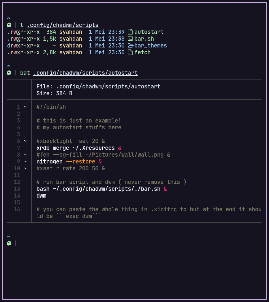 Did not work · Issue #93 · siduck/chadwm · GitHub