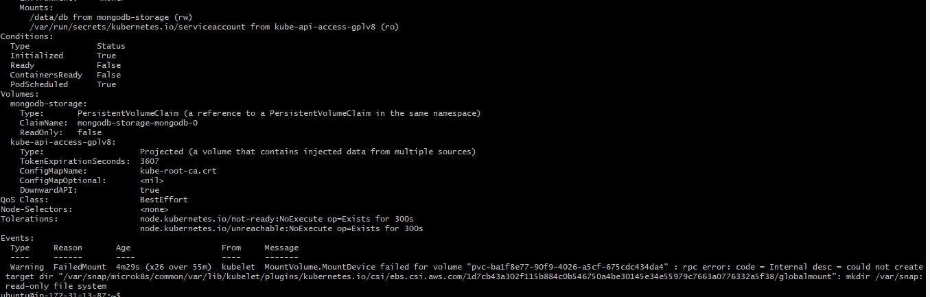 Could not create target dir "xxx" mkdir /var/snap: read-only file system · Issue #1517 ...