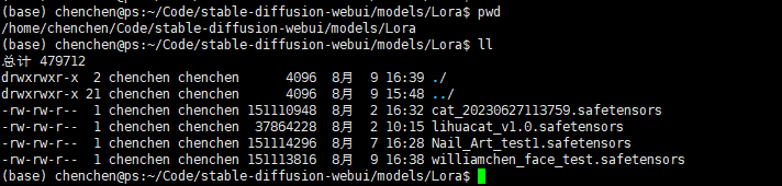 Bug All Custom Lora Disappeared After Using Updated Webui · Issue 12427 · Automatic1111