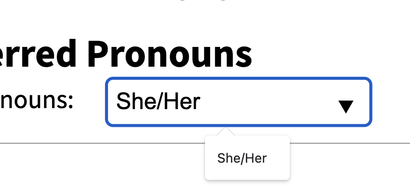 Minor issues with My Profile pronouns UI · Issue #9147 · Submitty/Submitty · GitHub