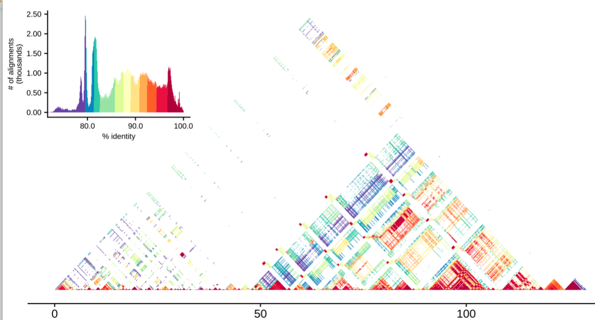 heatmap · Issue #9 · mrvollger/StainedGlass · GitHub