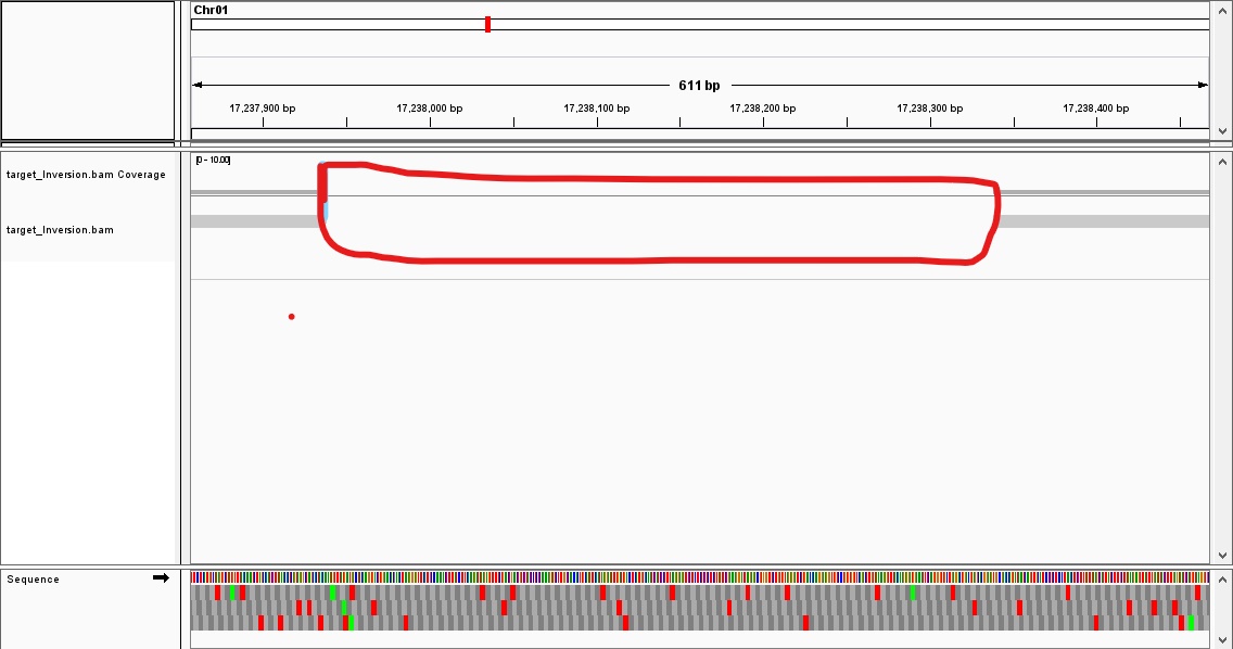 mapping inversion problem · Issue #821 · lh3/minimap2 · GitHub