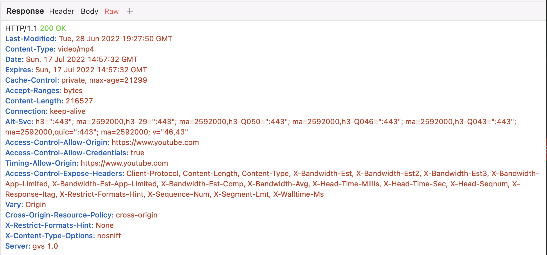 Better Color for the Raw Tab · Issue #38 · ProxymanApp/proxyman-windows-linux · GitHub