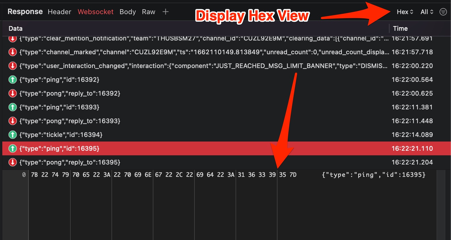 Support Hex View On The Websocket Message Viewer · Issue 1346 · Proxymanappproxyman · Github 