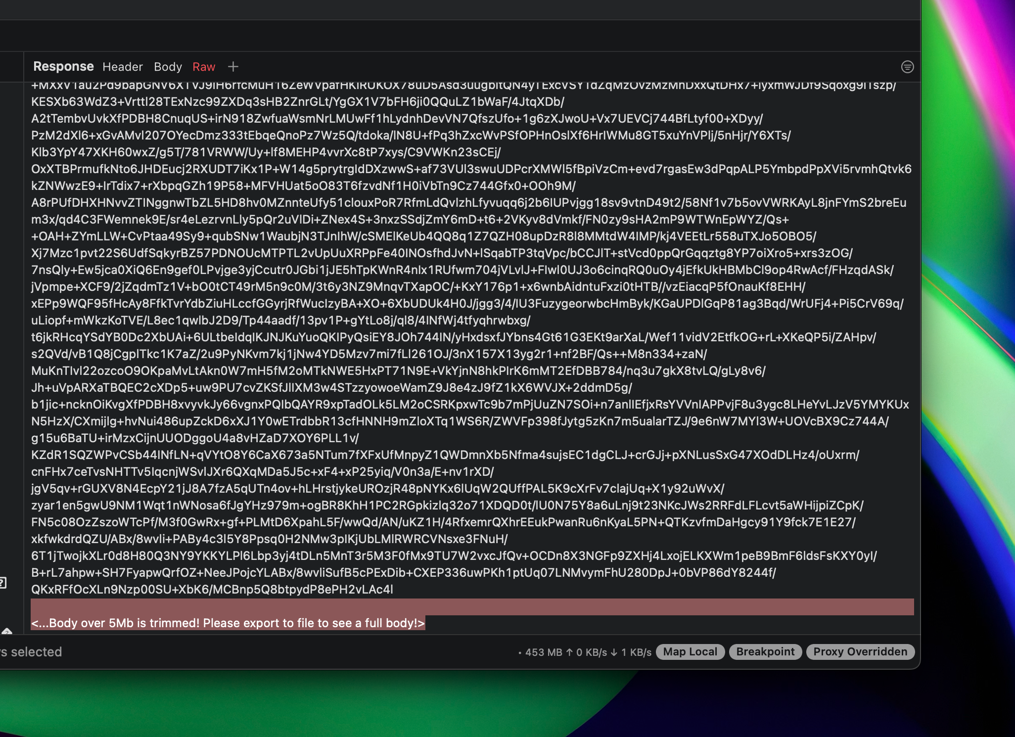 Truncating the Raw Tab if the body size exceeds 5Mb · Issue #106 · ProxymanApp/proxyman-windows ...