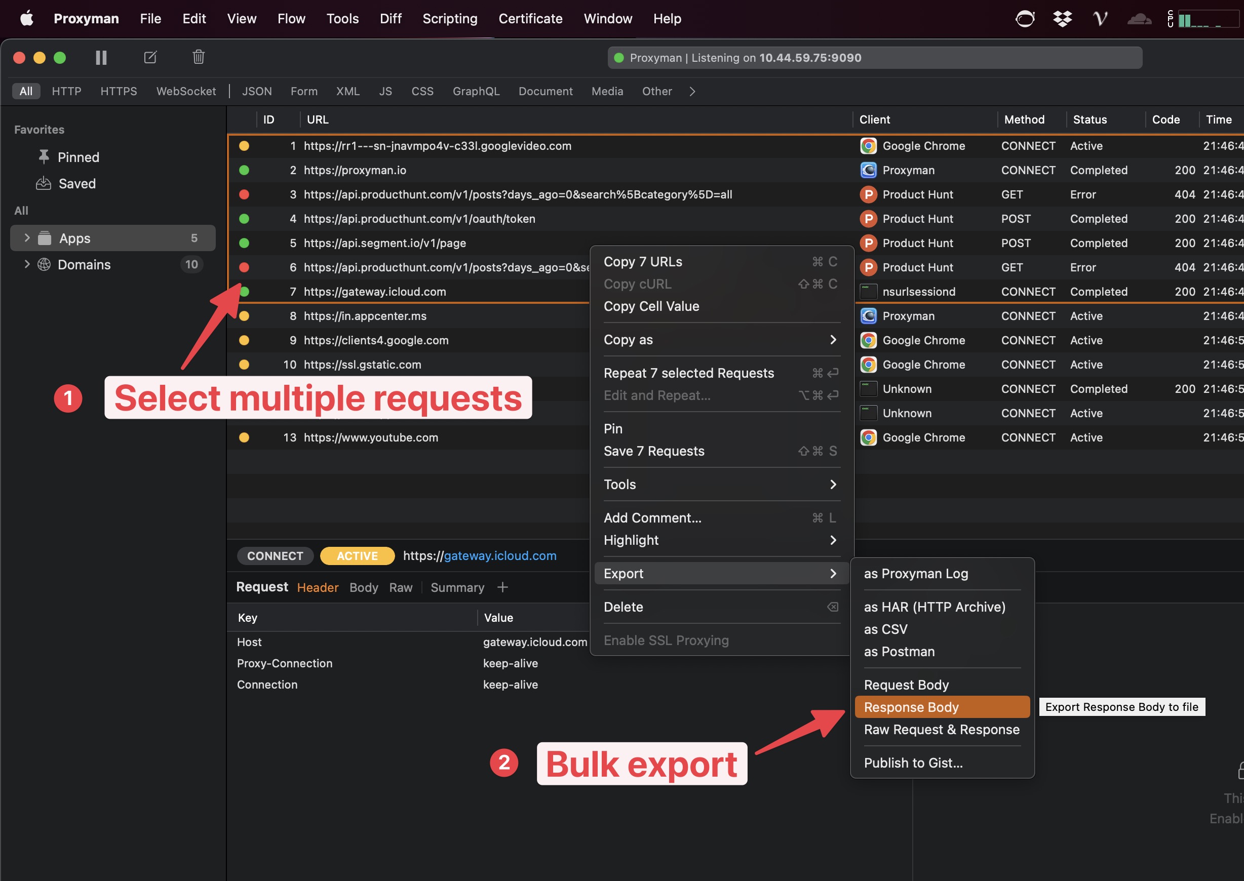 Bulk export Request / Response Body · Issue #216 · ProxymanApp/proxyman-windows-linux · GitHub