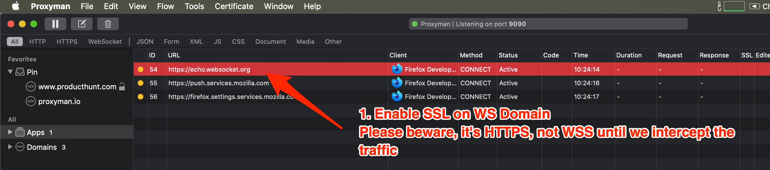 Not working WebSocket · Issue #586 · ProxymanApp/Proxyman · GitHub