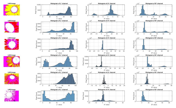 GitHub - aDouladiris/Grayscale-Image-Colorization: Grayscale Image ...