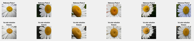 GitHub - aDouladiris/Grayscale-Image-Colorization: Grayscale Image ...