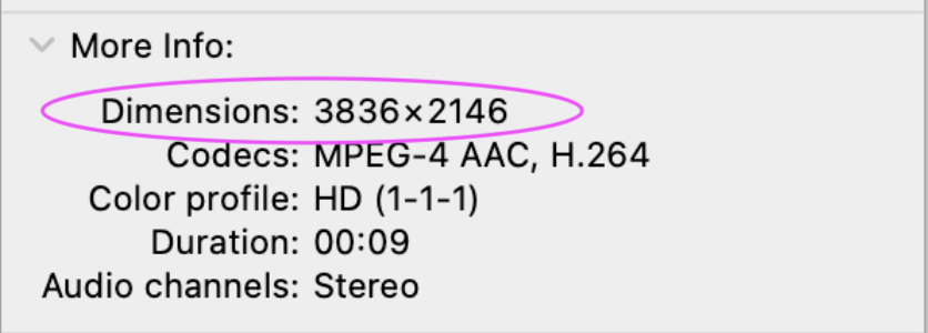 Video upload dimensions null x null · Issue #15505 · strapi/strapi · GitHub