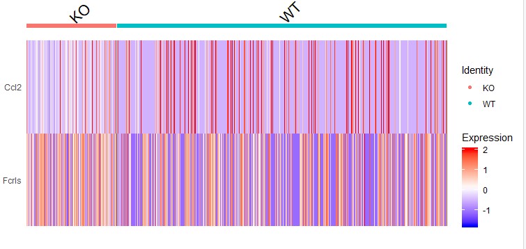 generating heatmap from AverageExpression results · Issue #2486 · satijalab/seurat · GitHub