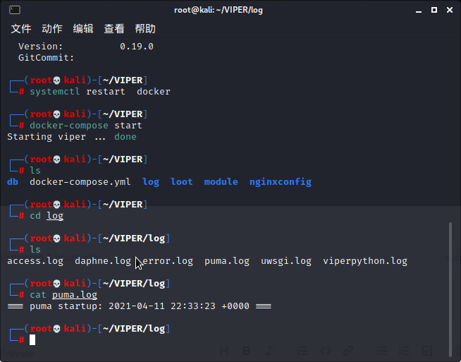 viper最新版没有报错但console无法使用模块面板有 · Issue #15 · FunnyWolf/Viper · GitHub